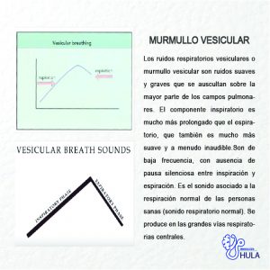 MURMULLO VESICULAR – Gastro Mérida