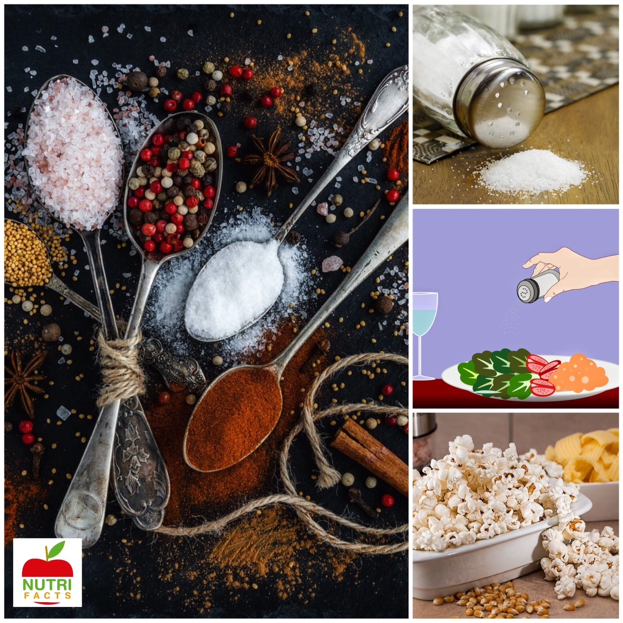 Alimentos Procesados Gastro M rida