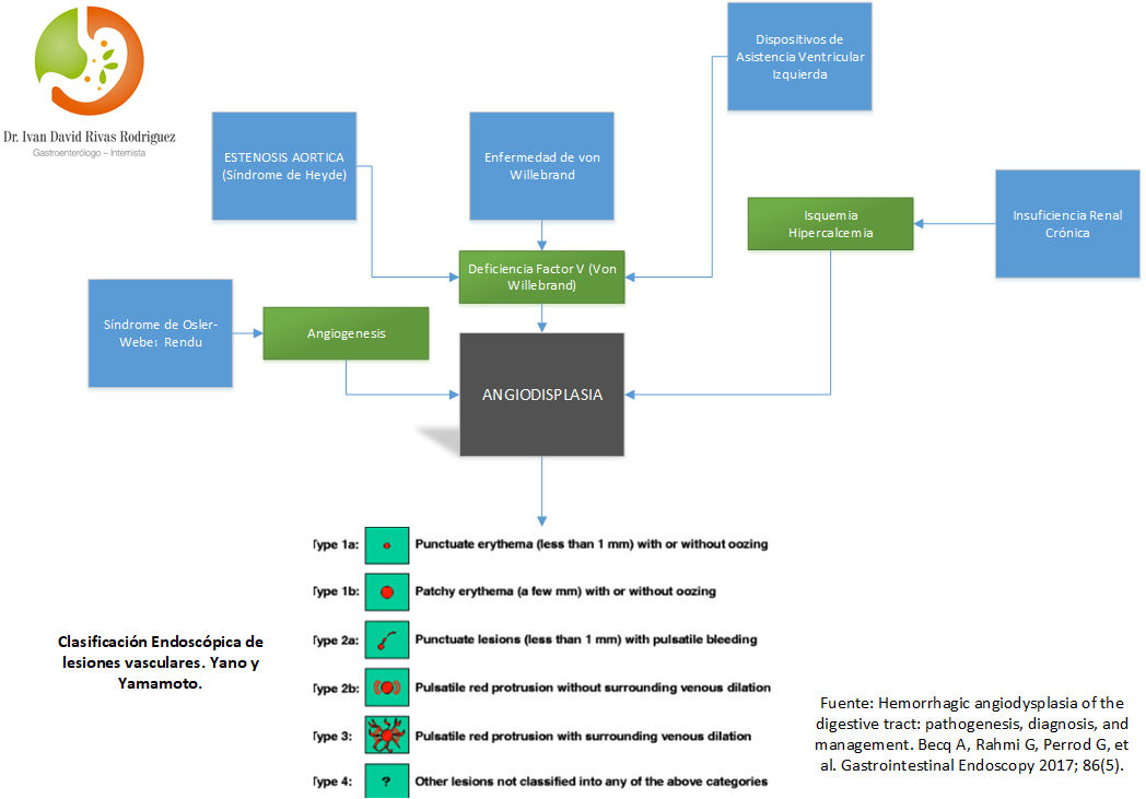 ANGIODISPLASIA – Gastro Mérida