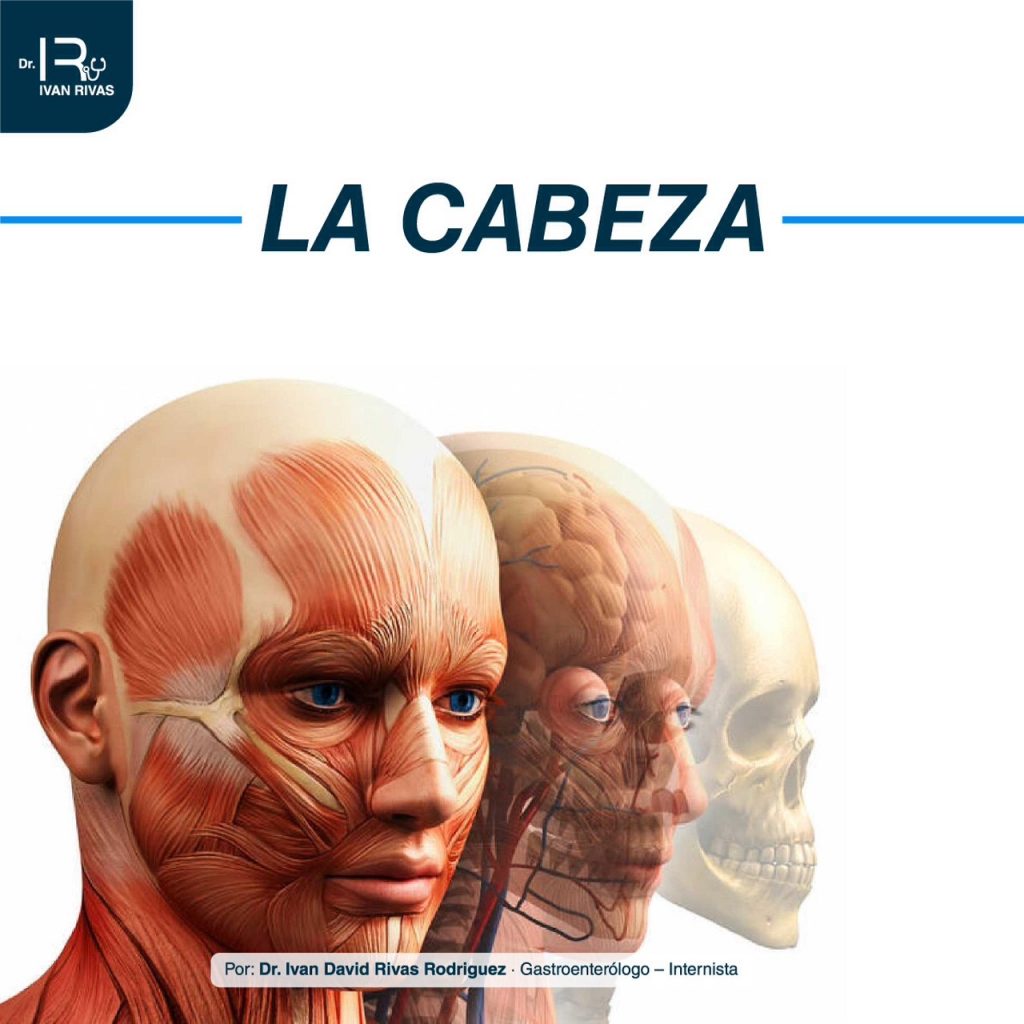 signo de battle – Gastro Mérida