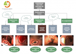 Clasificación de Forrest – Gastro Mérida