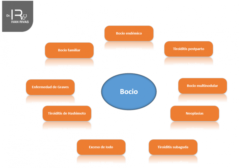 Bocio – Gastro Mérida