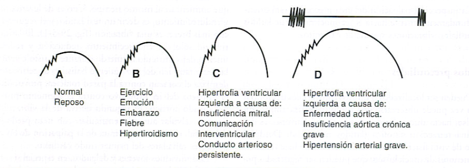 Inspección y Palpación Cardiovascular – Gastro Mérida