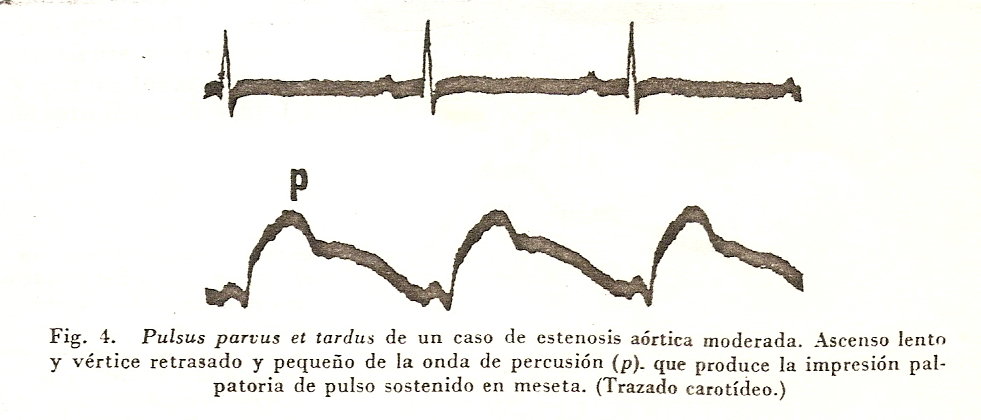 Signos Vitales – Gastro Mérida