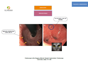 Algoritmos de buena práctica en diagnóstico y tratamiento de colitis ...