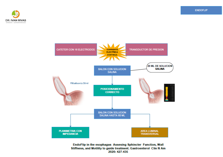 Algoritmos para el manejo de pruebas diagnósticas fisiológicas de los ...