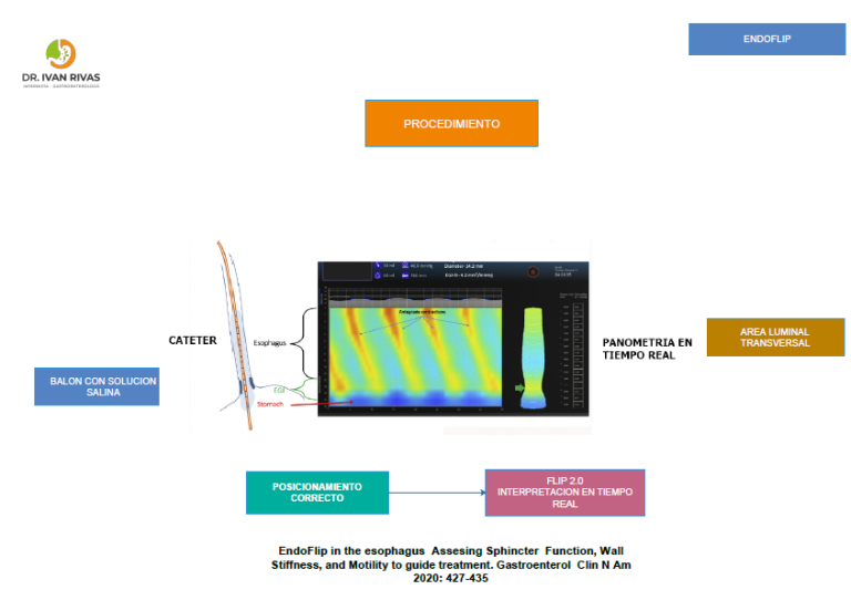 Algoritmos para el manejo de pruebas diagnósticas fisiológicas de los ...