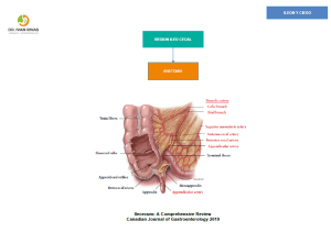 Algoritmos diagnósticos en Íleon y Ciego: Ileoscopia – Gastro Mérida