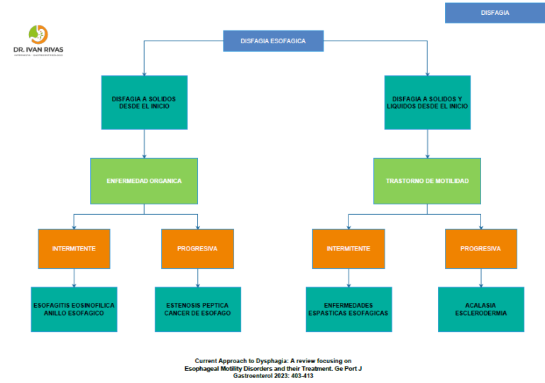 Algoritmos de buena práctica en Endoscopia Superior – Gastro Mérida