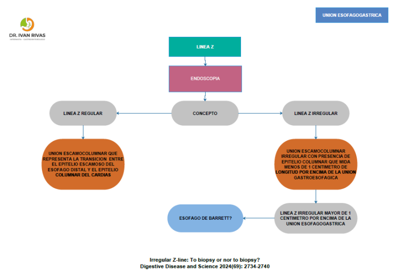 Algoritmos de buena práctica de la Union Esofagogastrica: Hernia Hiatal ...