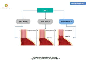 Algoritmos de buena práctica de la Union Esofagogastrica: Hernia Hiatal ...