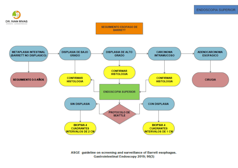 Algoritmos de buena práctica de la Union Esofagogastrica: Hernia Hiatal ...