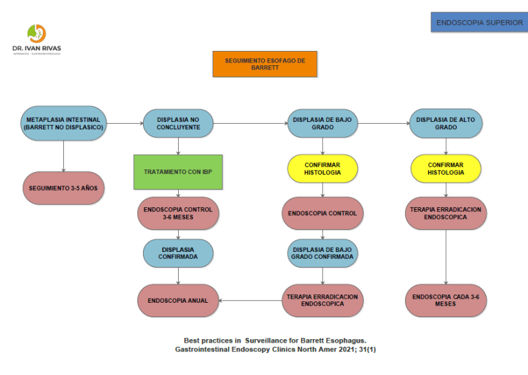 Algoritmos de buena práctica de la Union Esofagogastrica: Hernia Hiatal ...