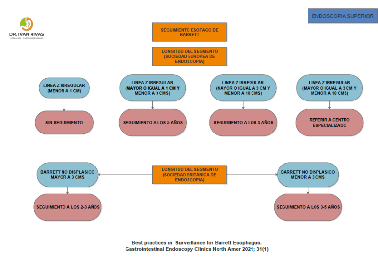 Algoritmos de buena práctica de la Union Esofagogastrica: Hernia Hiatal ...
