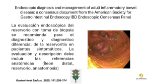 Algoritmos de buena práctica en diagnóstico y tratamiento de colitis ...
